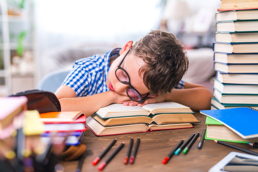 Summer Learning Loss Prevention